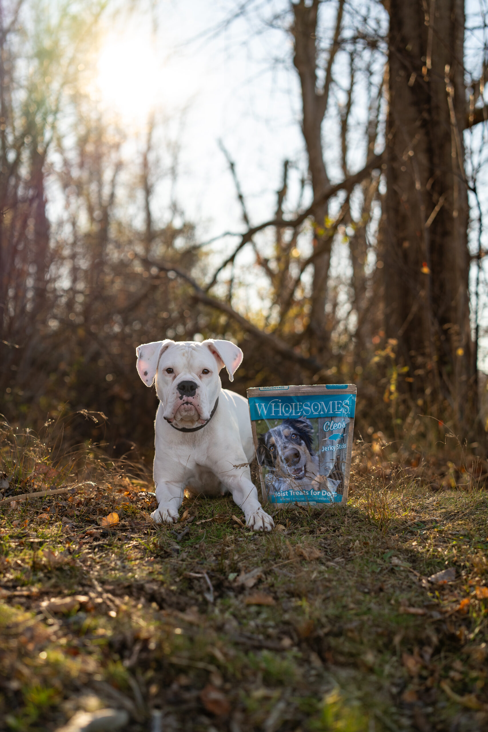 Midwestern Pet Foods Introduces New Wholesomes Grain-Free Treats ...