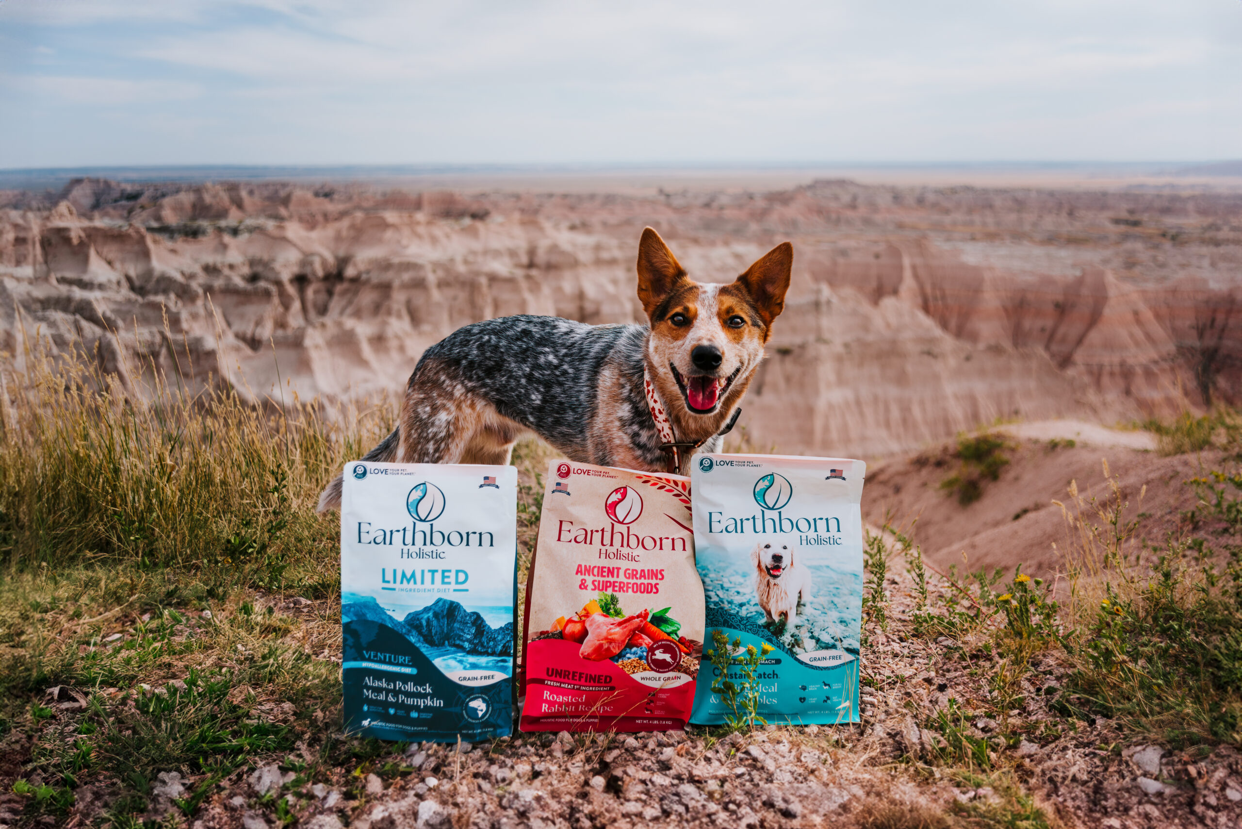 EARTHBORN HOLISTIC DRY DOG FOOD NAMED 2024 PET BUSINESS INDUSTRY ...