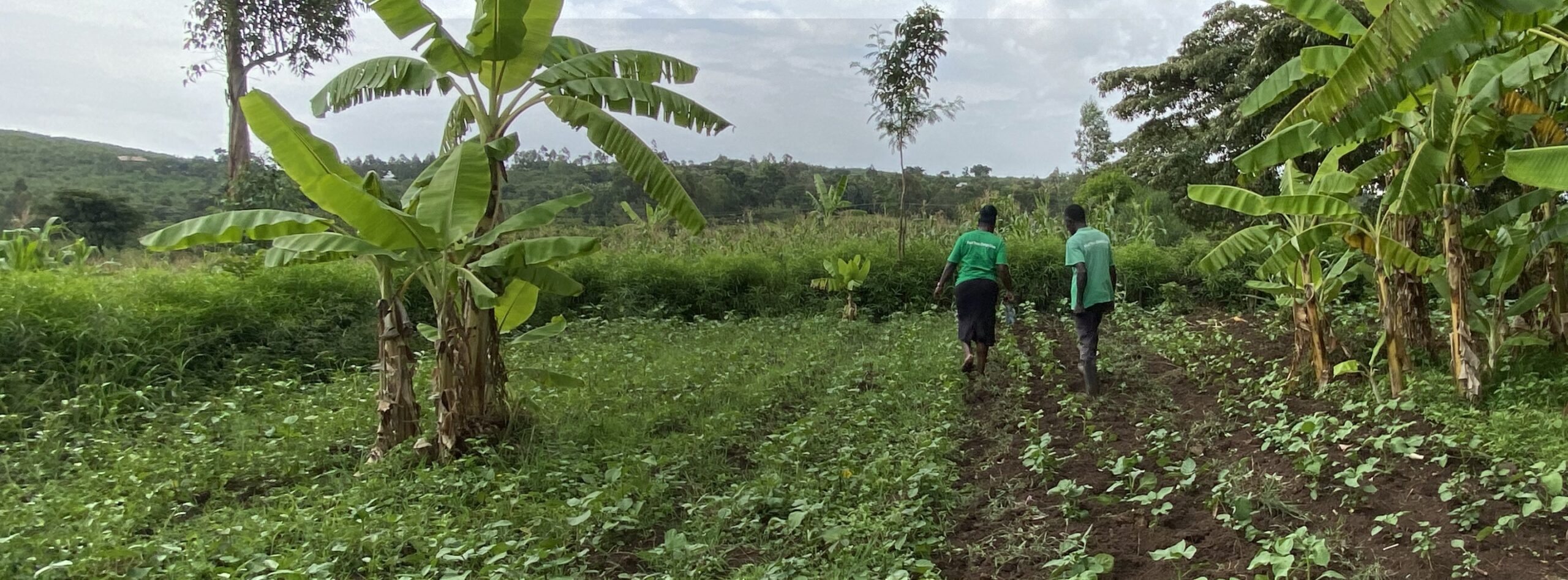 MPF Cares - Midwestern Pet Foods