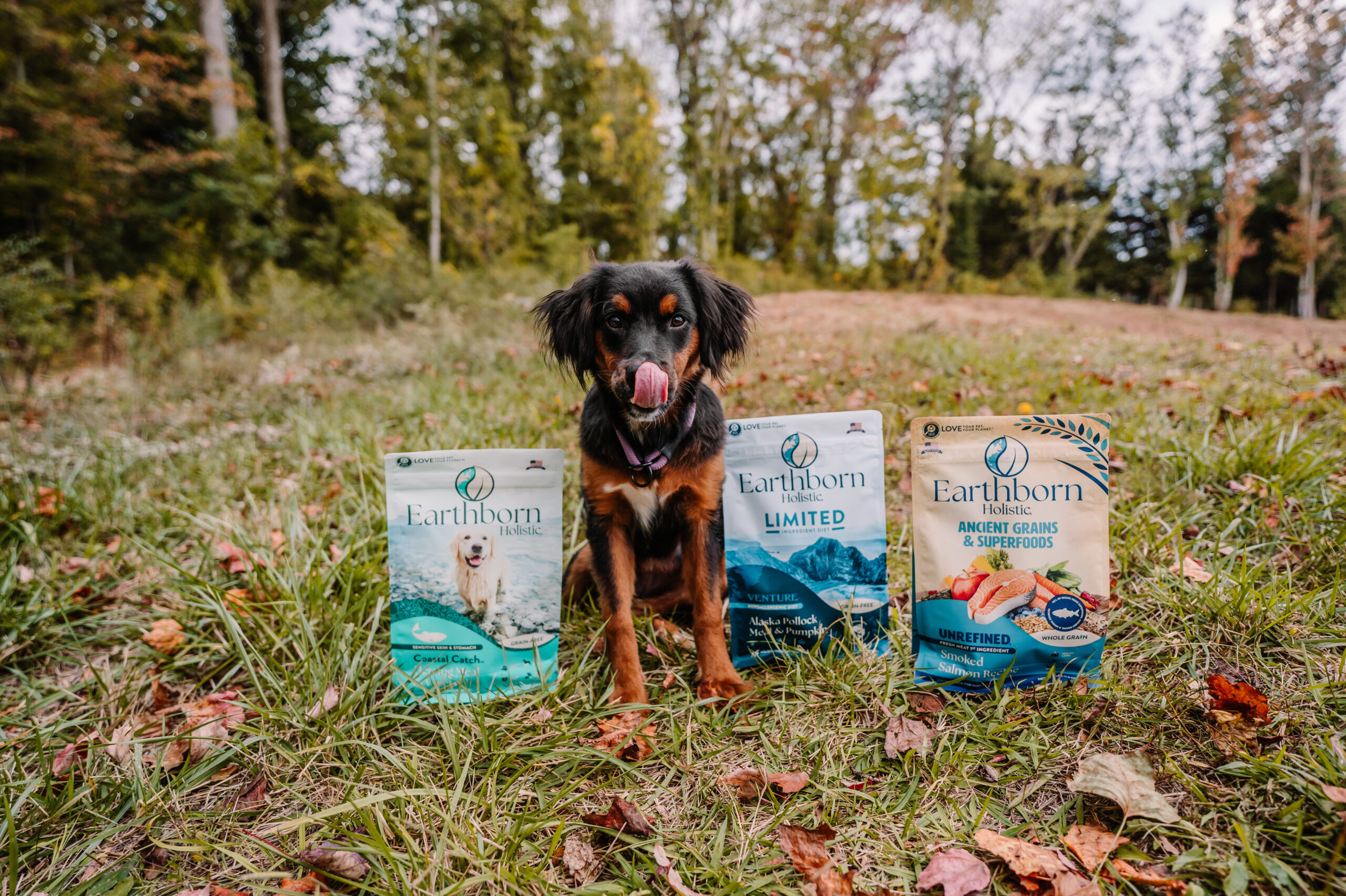 MIDWESTERN PET FOODS INTRODUCES ‘NEW & IMPROVED’ EARTHBORN HOLISTIC DRY ...