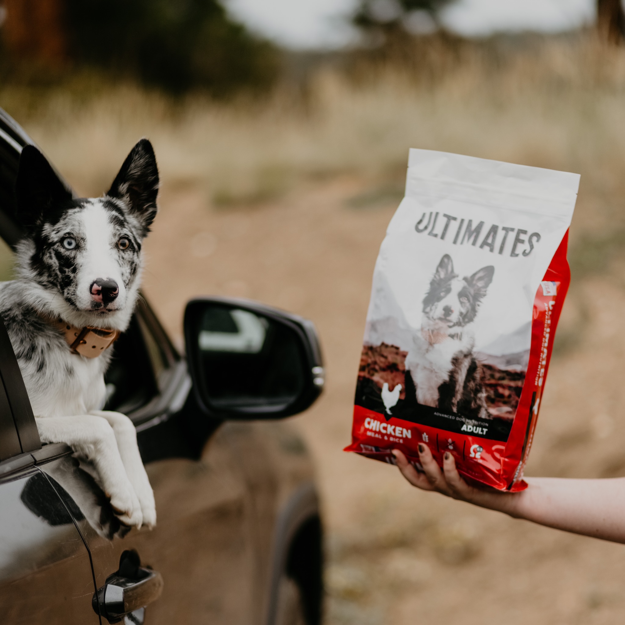 ULTIMATES RECOGNIZED AS A TOP PET PRODUCT OF 2021 - Midwestern Pet Foods