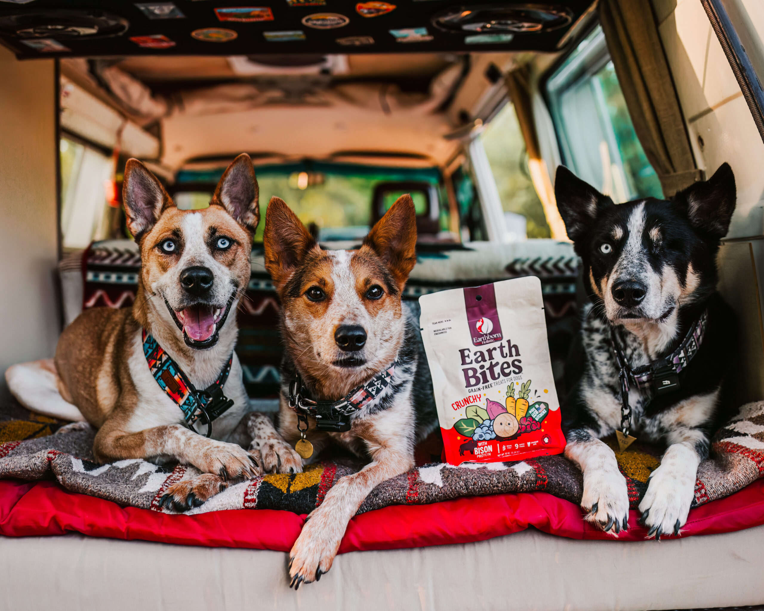 MIDWESTERN PET FOODS UNVEILS ULTIMATES JERKY TREATS & EARTHBITES ...
